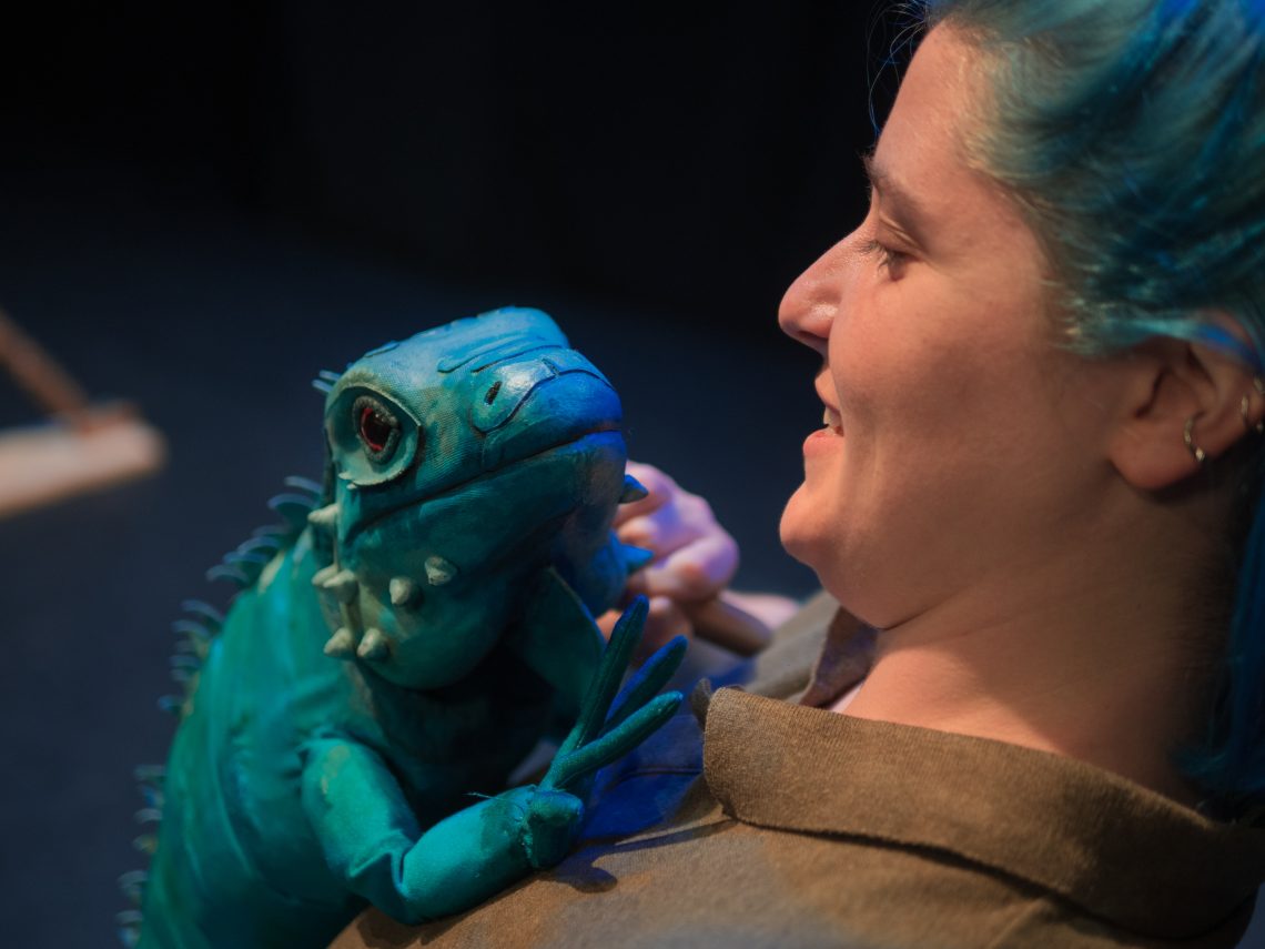 Live puppet show coming to Frome this half term! - Frome Times