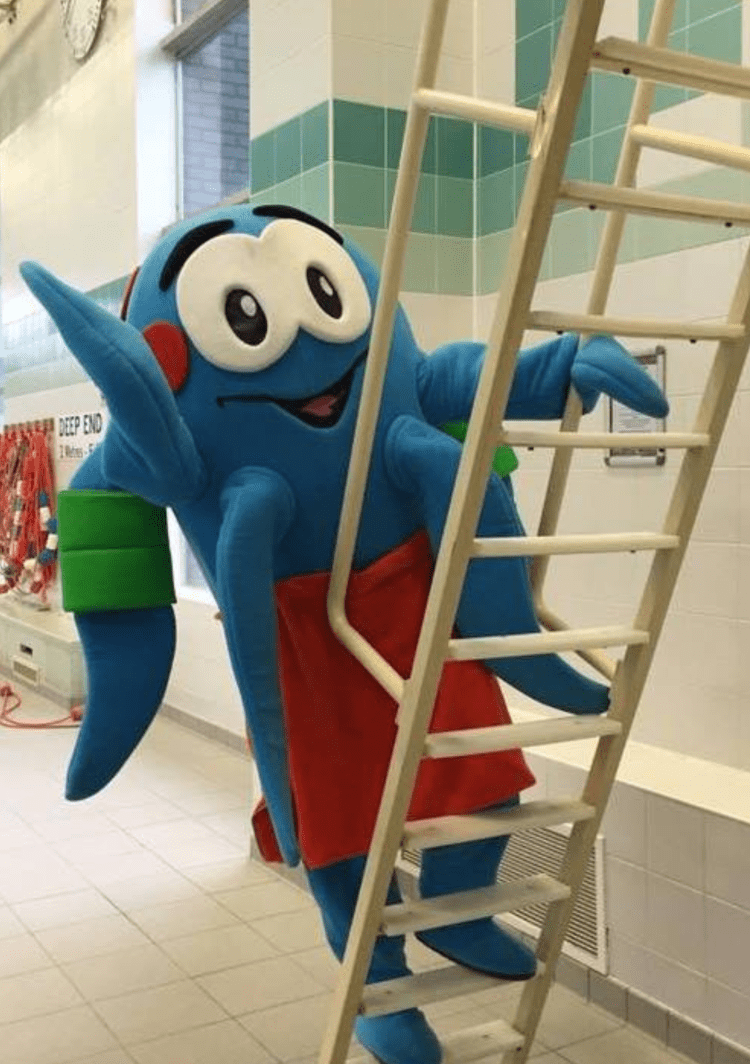 ‘More efficient’ boiler installed at Frome’s swimming pool - Frome Times