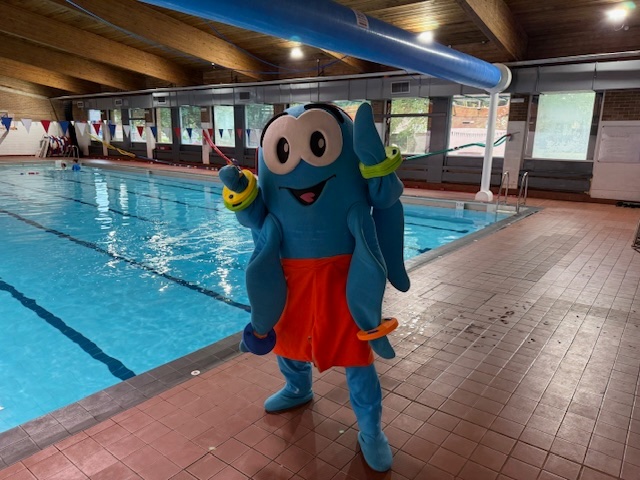 ‘More efficient’ boiler installed at Frome’s swimming pool - Frome Times