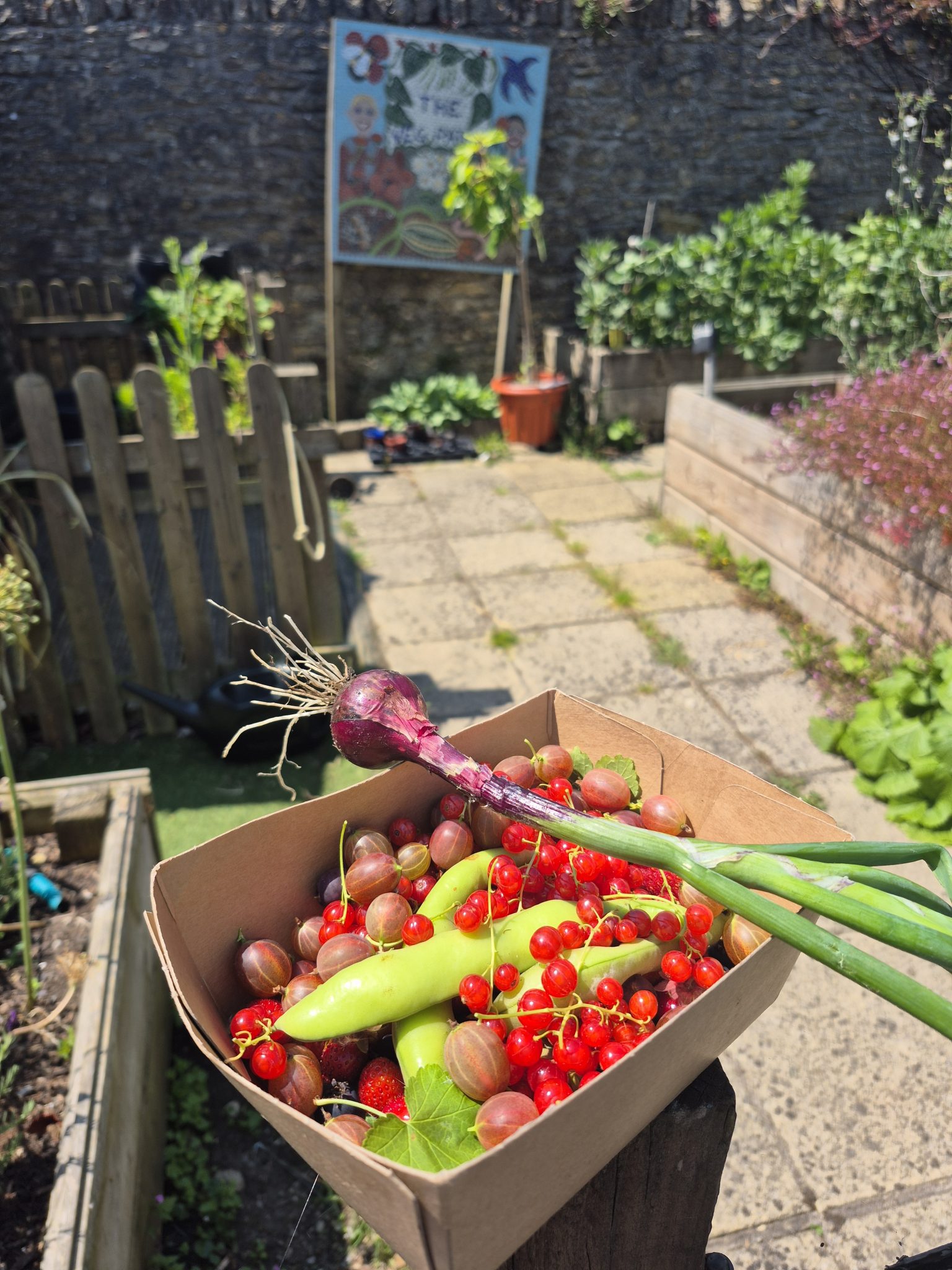 Canteen to dish up home-grown potato salad at Victoria Park pop-up ...