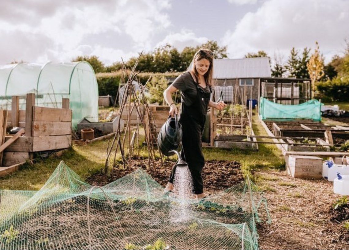 Record-breaking Frome Festival set to include over 280 events - Frome Times