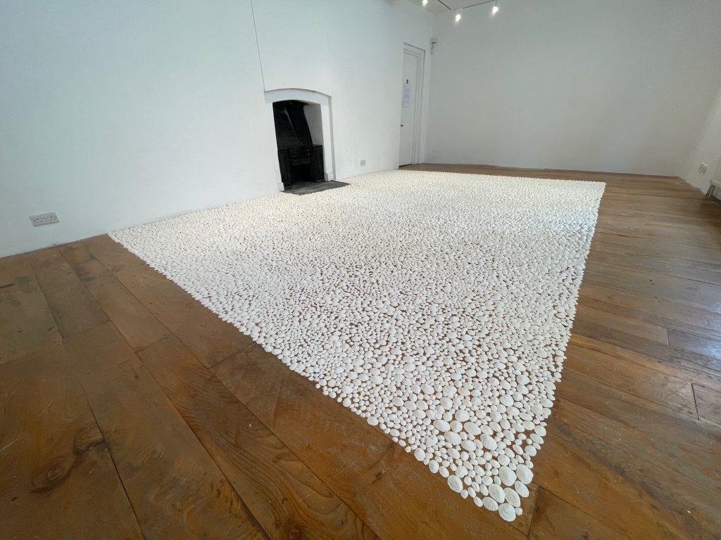 Unique shell art installation is tribute to Frome residents - Frome Times