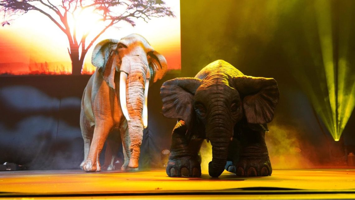 The Animal Guyz are back in Frome next month - Frome Times