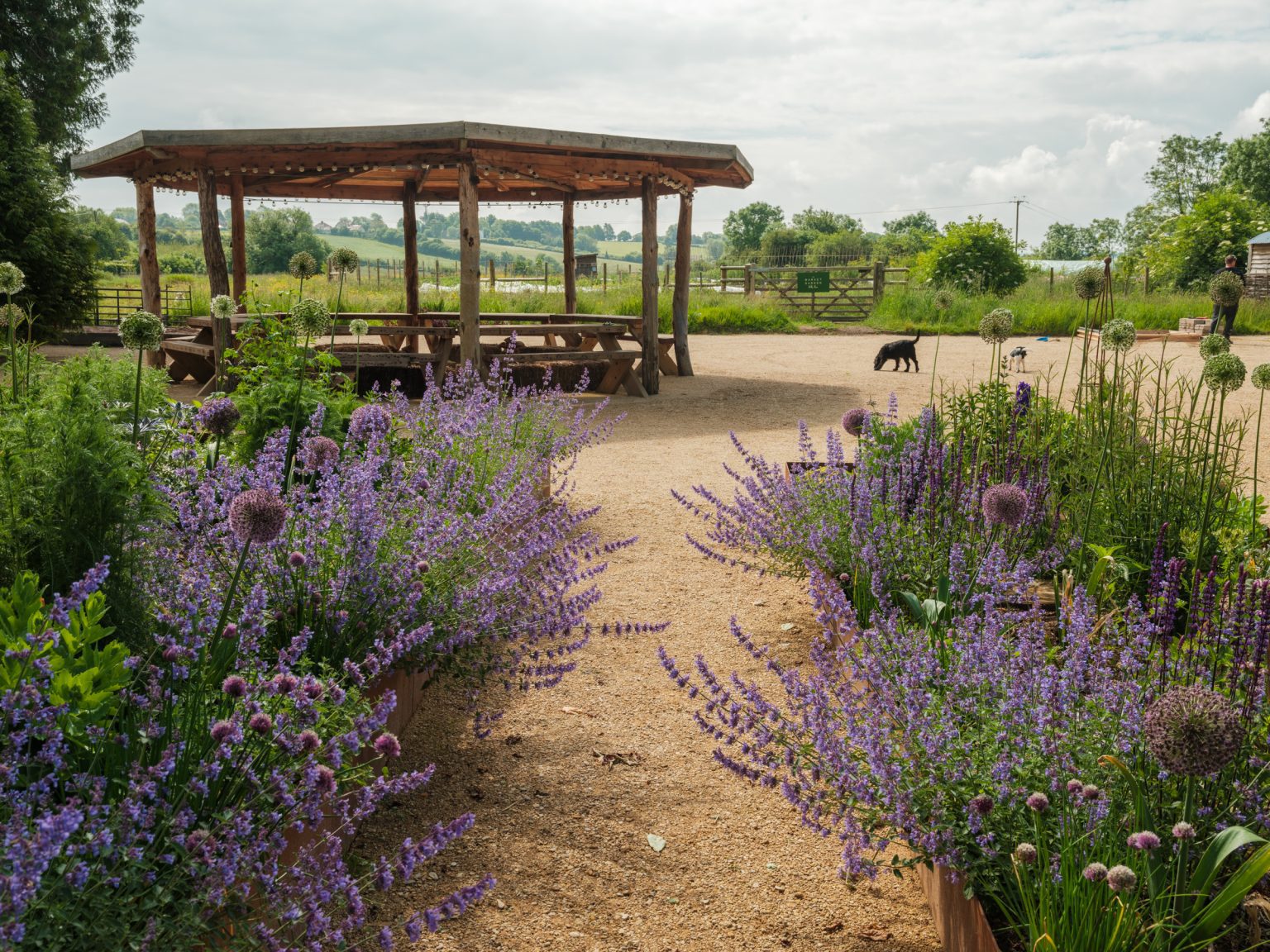 Discover Vallis Farm’s gardening workshops - Frome Times